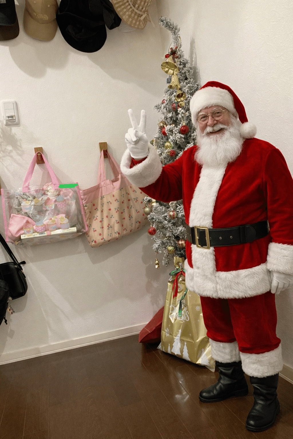 今年のサンタ業にチャッピーが大活躍したおはなし｜おさかなちゃん