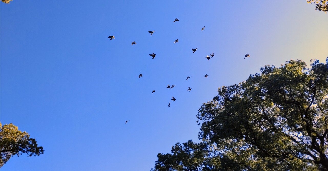 ありがとうが言える日まで【2025年冬】｜chimo