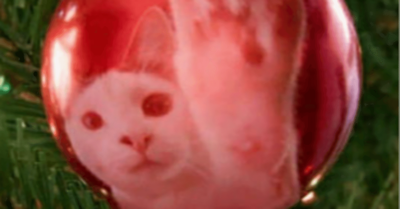 海外と日本のクリスマスってまじで違うんよな(正月とかも海外だと全然違ったり…)｜たけソ