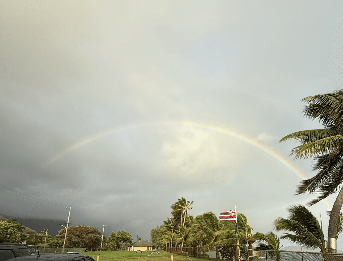 Happy 64th Birthday ｜manalaniqueendom