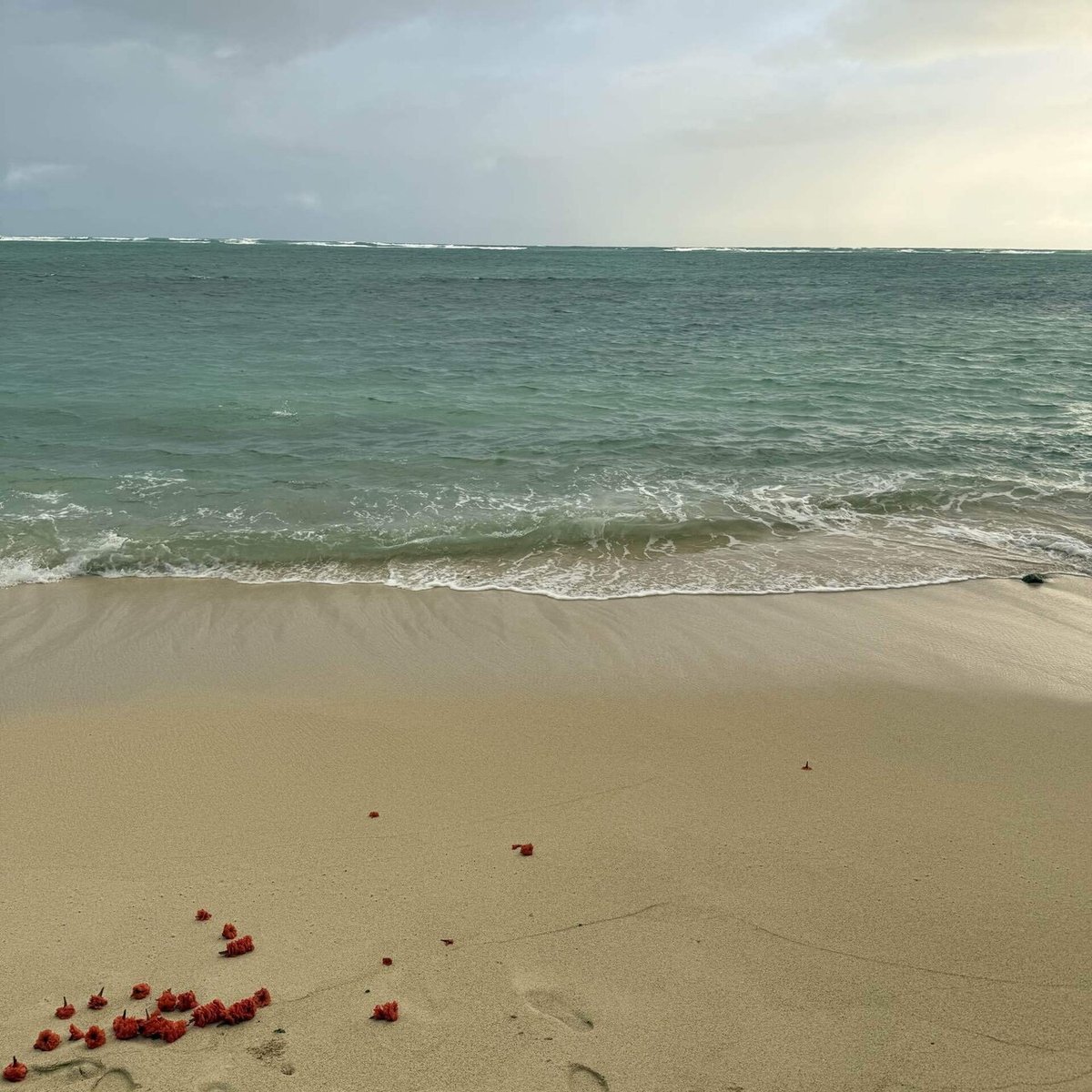 Happy 64th Birthday ｜manalaniqueendom