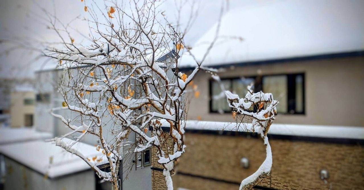 ほころびがまだ小さいうちに（毎日が学び120）｜スピリットメッセンジャー★ともりん