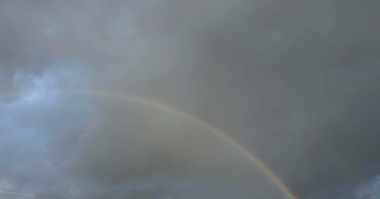 ACT日記 2025.12.24（水）｜とわ