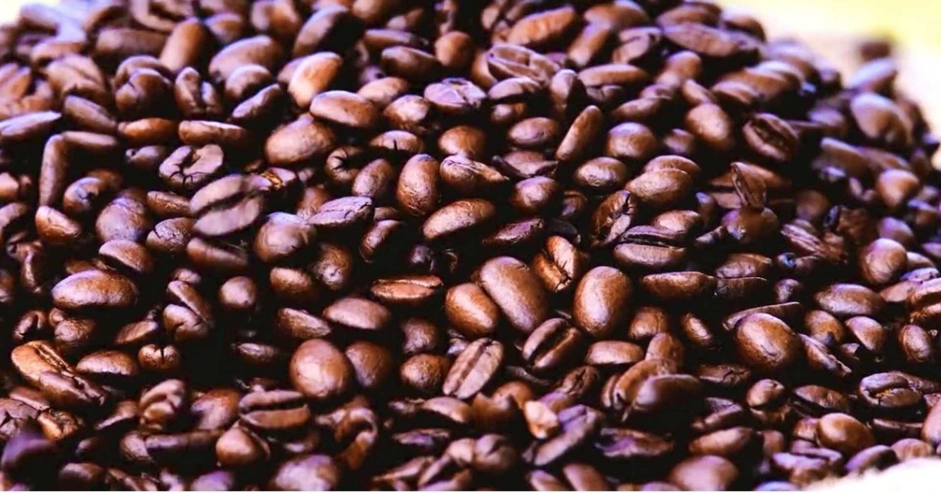 sparklerscoffeeの商品一覧｜note