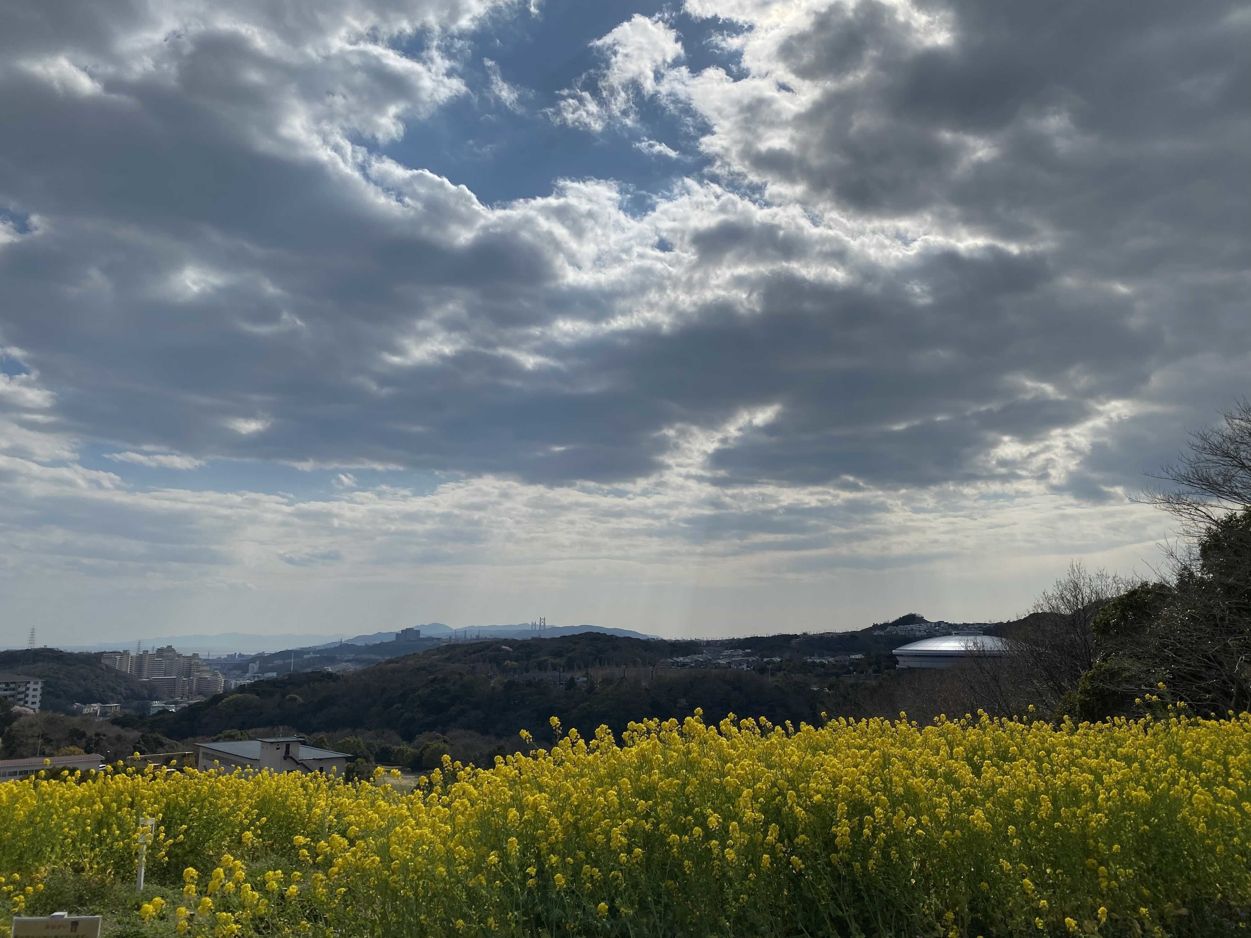 MIYASHITA RYOSUKE｜note