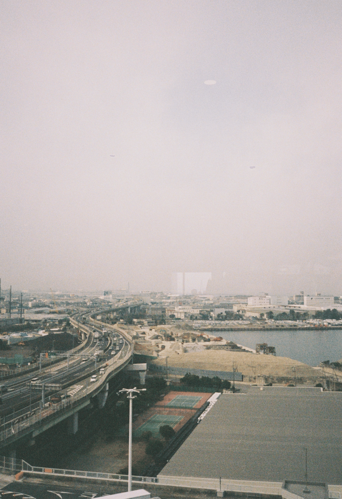 Ai Nikkor 300mm F4.5で動物を撮りたい！アドベンチャーワールドへ！｜Shogo Hagiwara