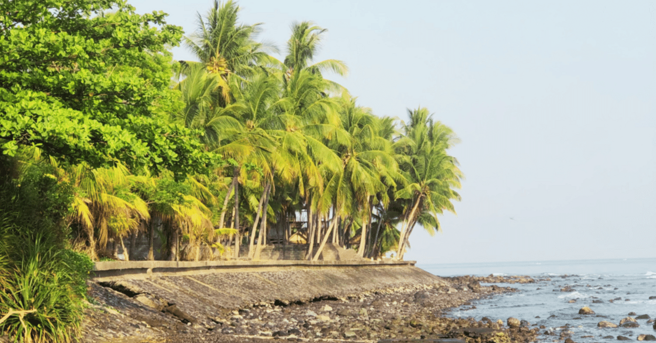 【バリ島旅行】バリ島北東部テジャクラとは？ | 自然豊かな村と、これからの変化｜kai