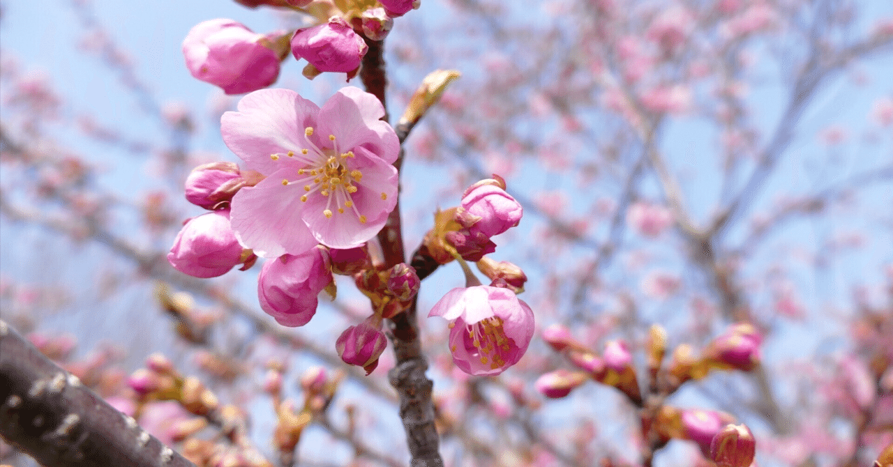 なりたい自分になるために｜水越こふく