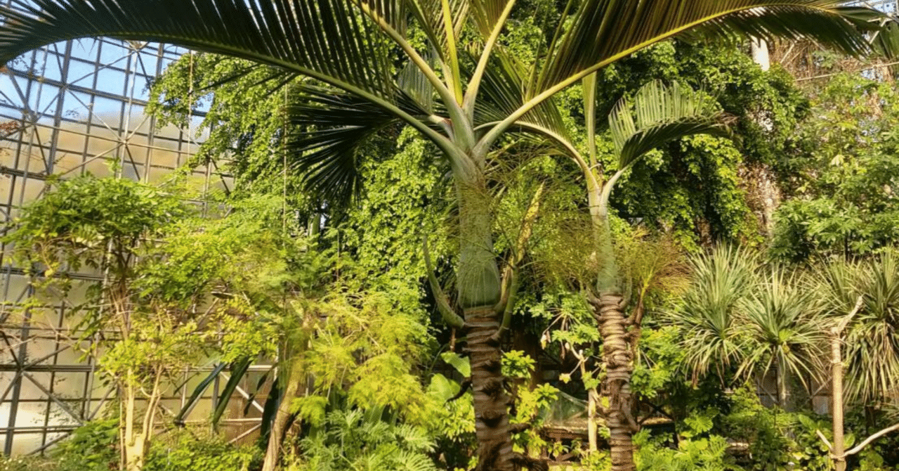 慣用表現｜a0248