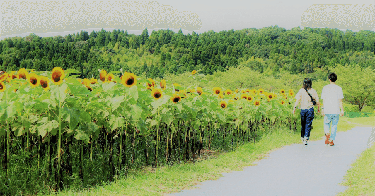 第14回足立フレンドリーハーフマラソン レビュー｜JUN