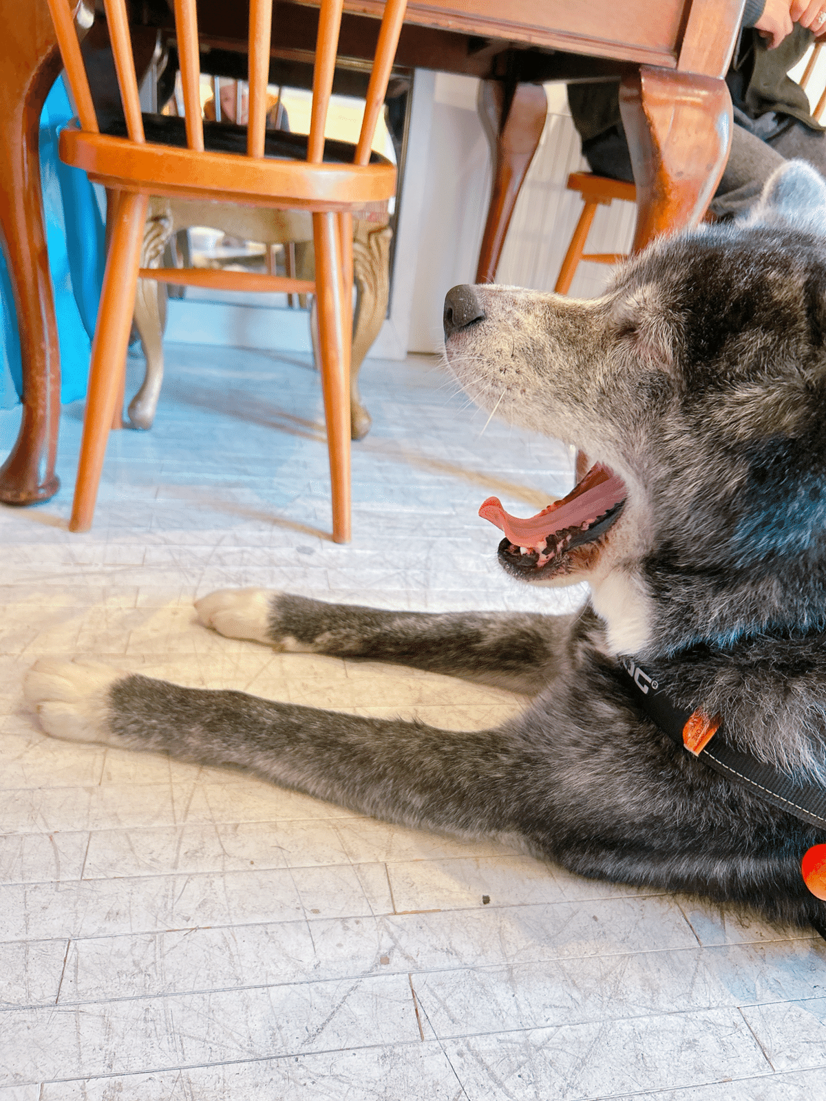 30 ゼロから古着屋チャレンジ記】何歳になっても「できるようになった！」は嬉しい｜あや｜ゼロから古着屋をはじめる