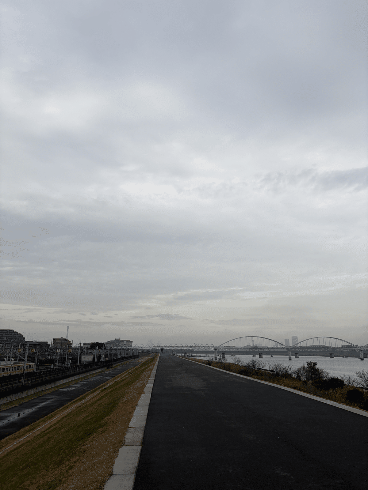 2025/12/25｜あおあかまぐろ