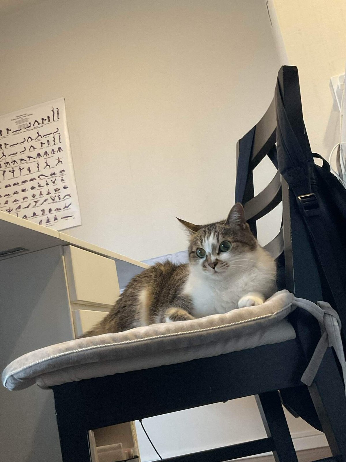 気持ち整える5つの習慣｜Note with ERI