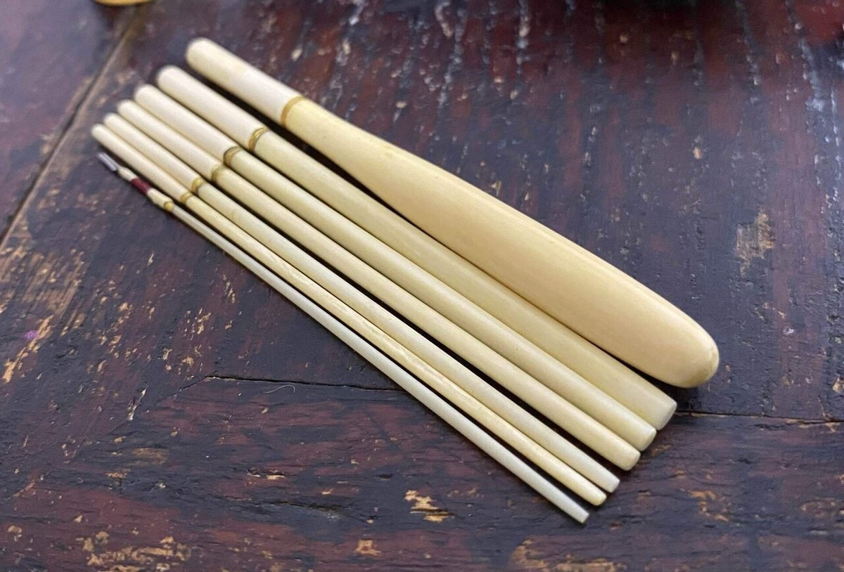 パオくん セミプロのDEEPな世界｜The Portal to freedom