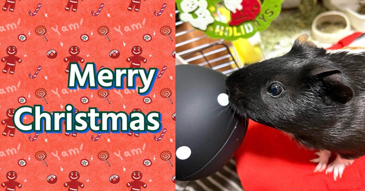 クリスマス🎄オタマ♪ディナーコンサート🍽️forモカちゃん｜nacoco37