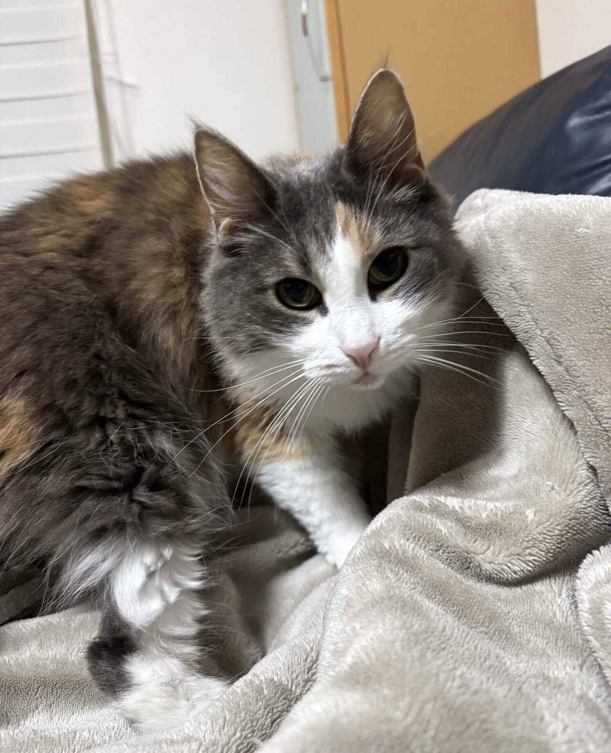 『みあ日記』12月25日｜百地百衣