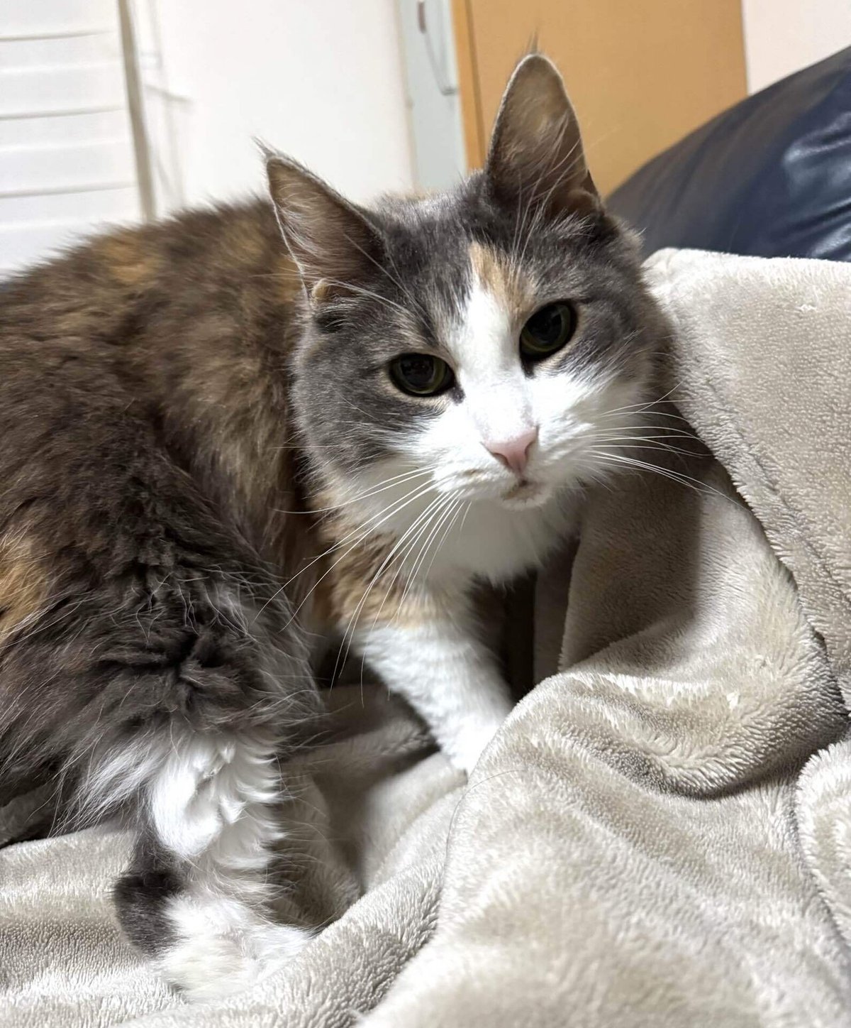 『みあ日記』12月25日｜百地百衣