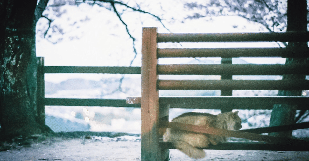 加工令和7年12月9日付法務省民二第1578号｜sunao