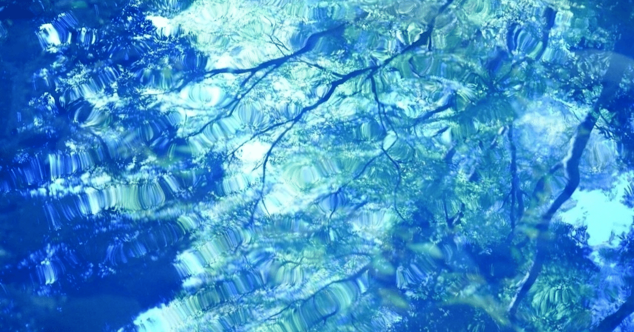 #詩「静寂」｜Swallow2025