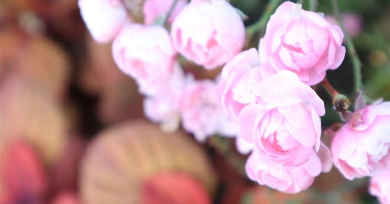 鋭意制作中 #6｜fuu