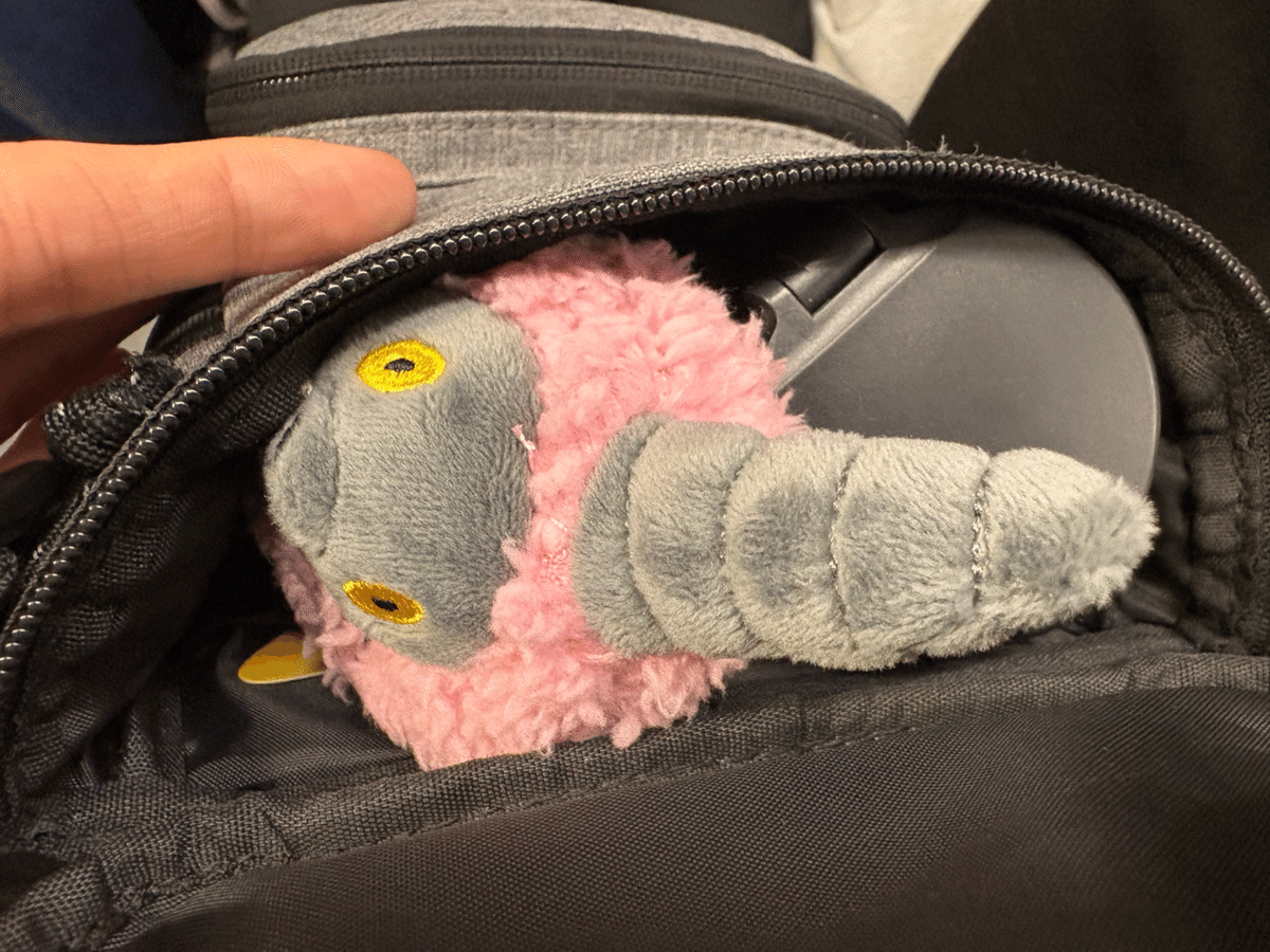 12月26日 忘年会｜晴