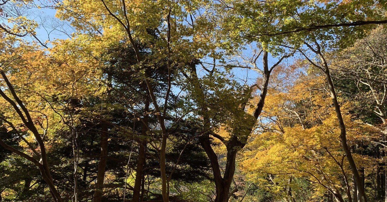 自分の生き方について考える｜あきら