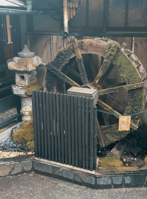 今年も、湯あかりの季節がやってきました。黒川温泉の夜へ｜旅日記 #6｜あいびより。｜やさしい旅と日々の記録