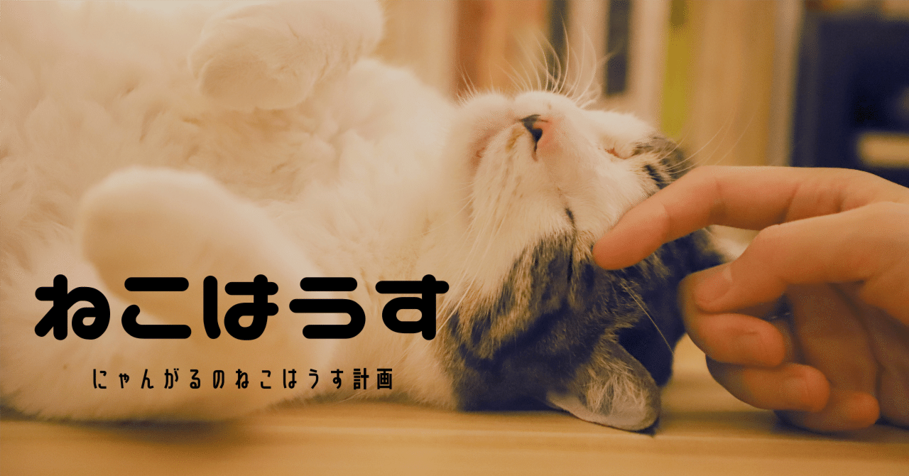 年末 今年を振り返る｜にゃんがる