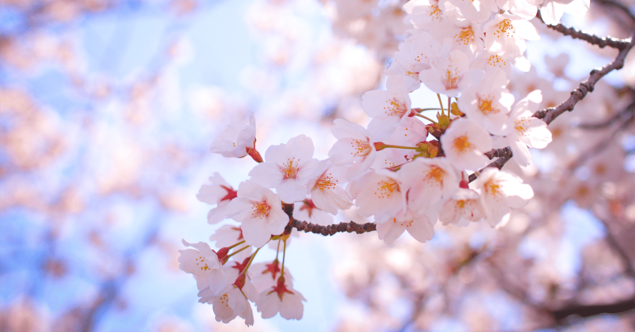 羽生結弦の人物像を誤解させる虚偽情報や、羽生結弦が答えてもいない言葉がインタビューとして流される「怪奇現象」と大問題・羽生結弦の舞台裏の闘い ...