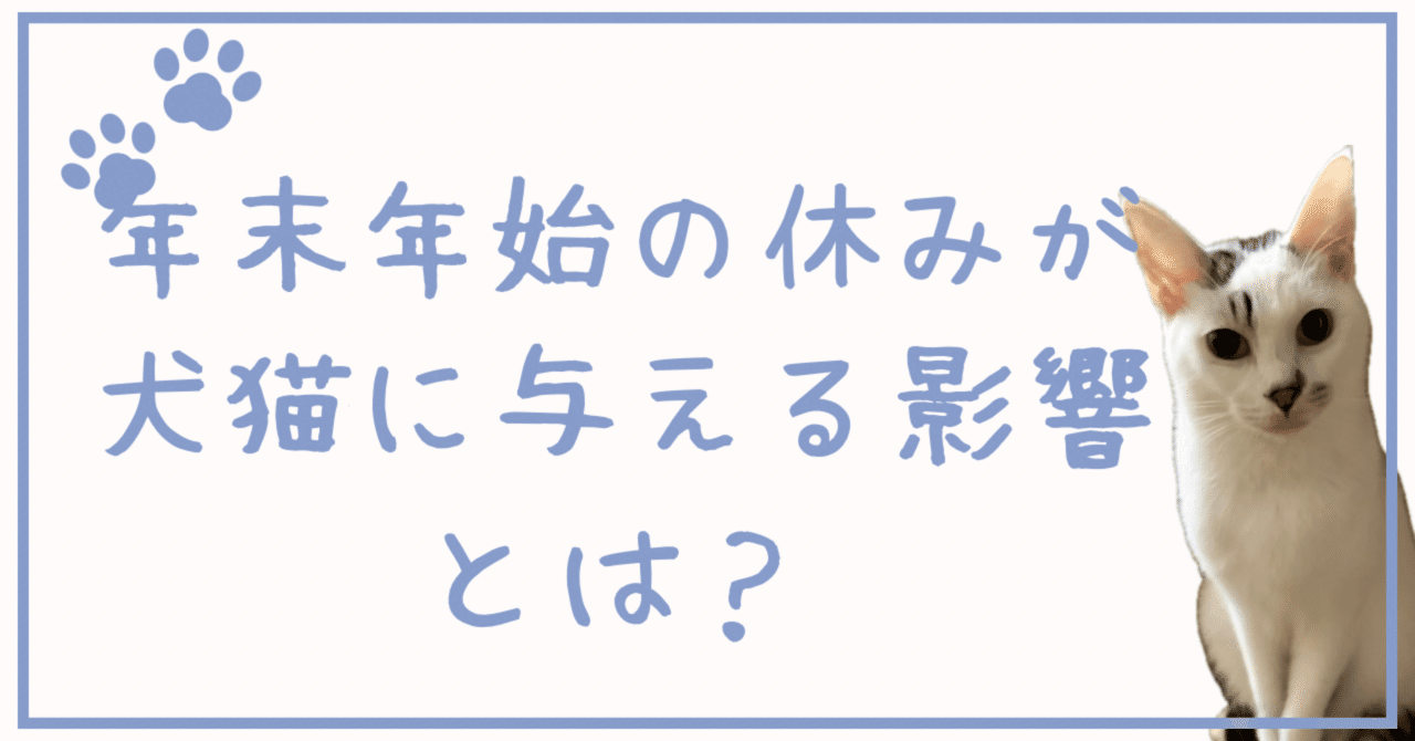 年末年始の休みが犬猫に与える影響とは？見えにくいストレスと休み明けの体調不良に注意｜しぐれ