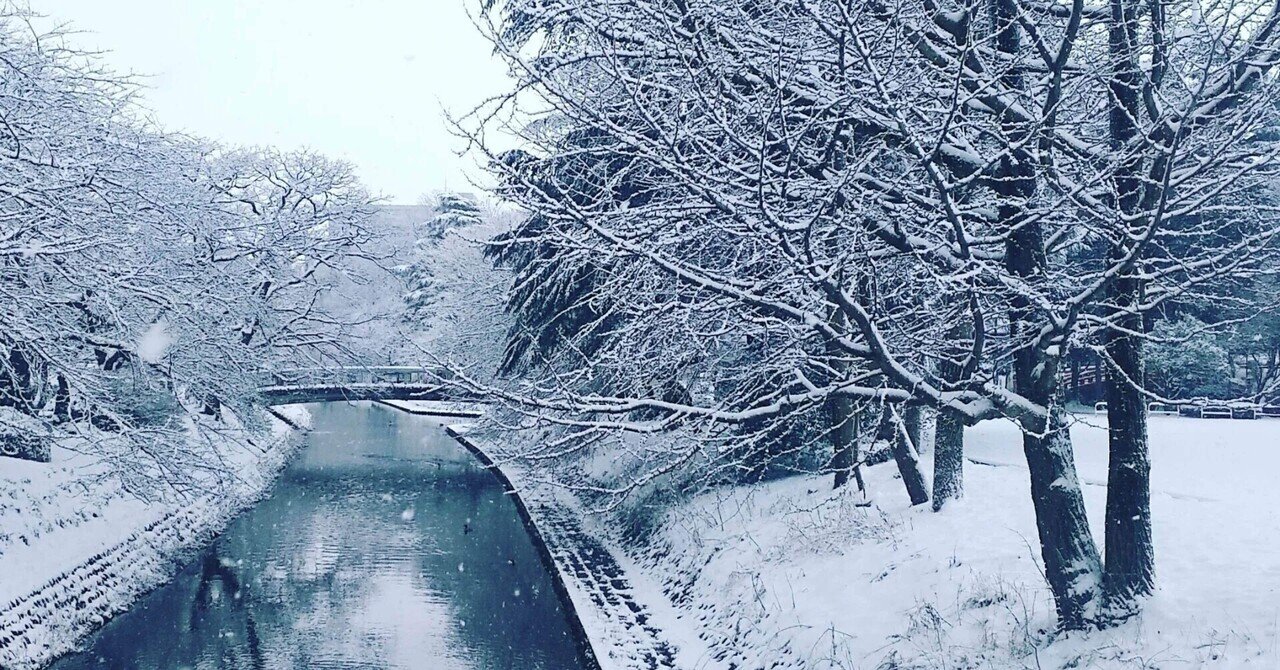 雪のおかげで庭が綺麗｜momiko ikeda