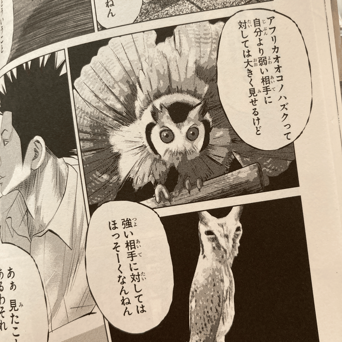 あさろぐ #234 / ドラマ『シナントロープ』をみたよ、の話。｜きのこ🍄