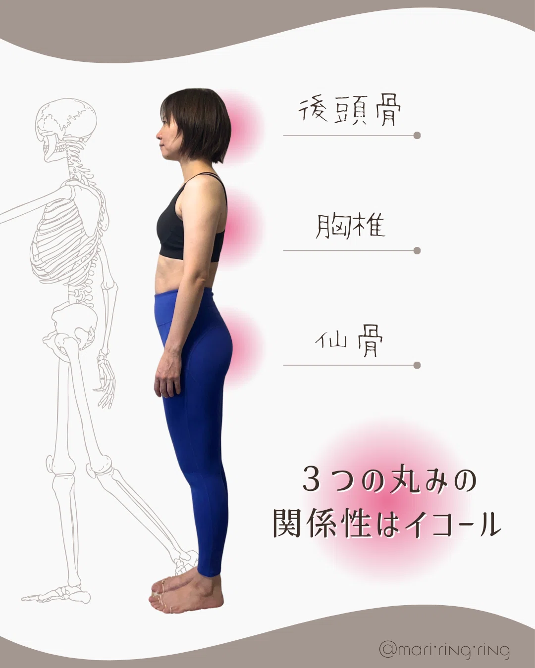 Humans are round｜cocoro note.｜karada note.