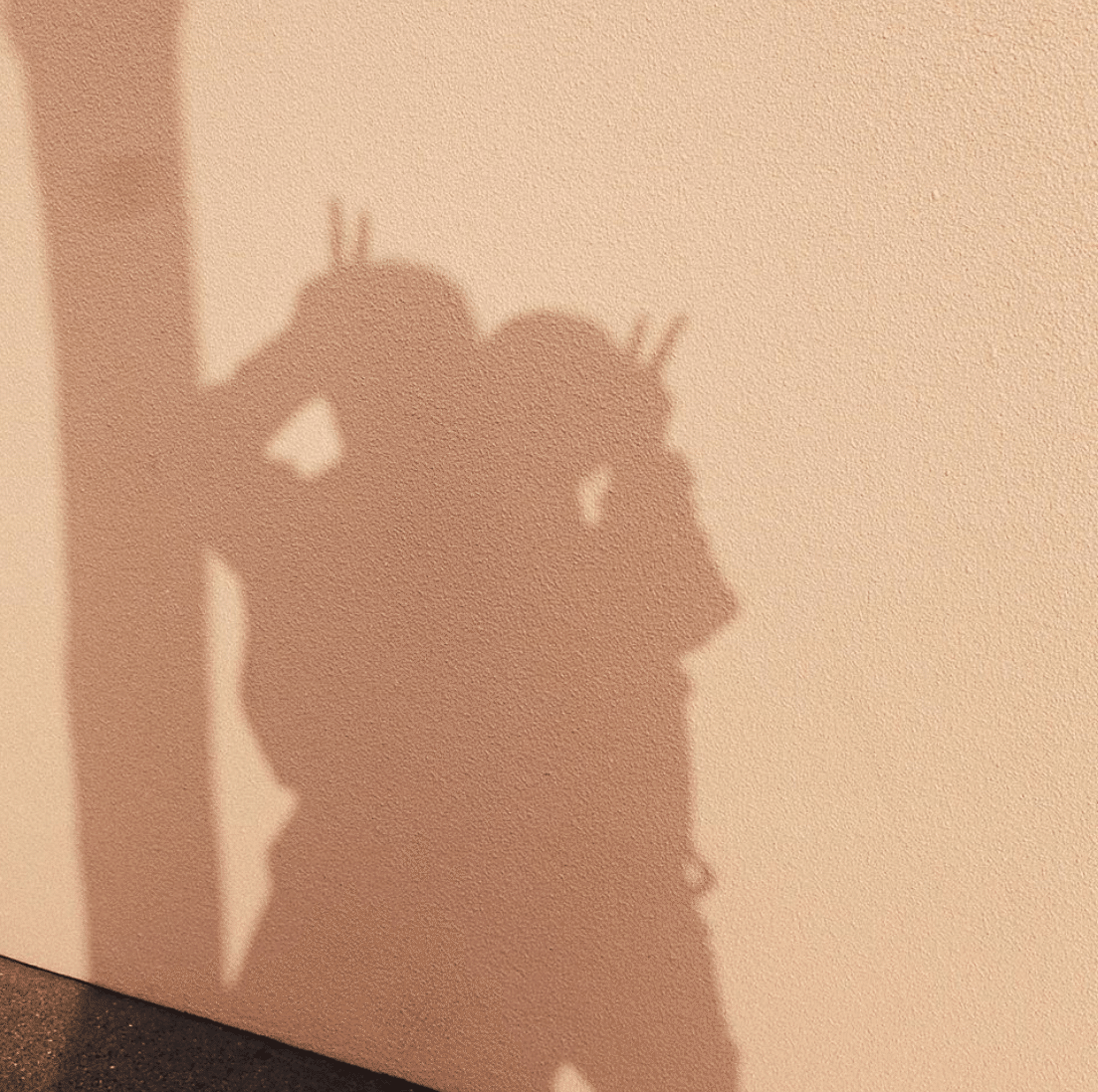 きんぐだむふぁいやー｜note