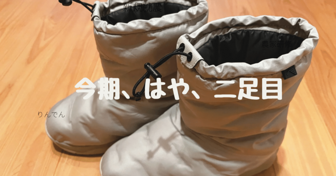 短すぎたお付き合い｜チームりんでん