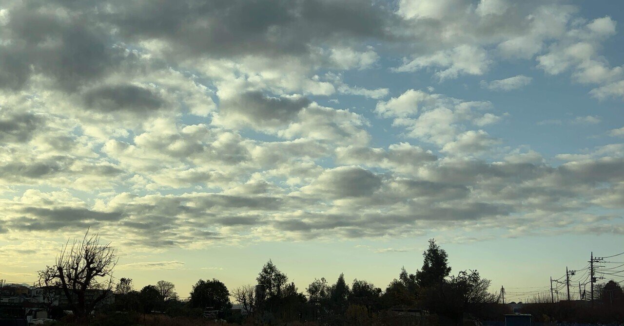 みんなが優しいのかもね[日記]｜nemui🐈‍⬛neko