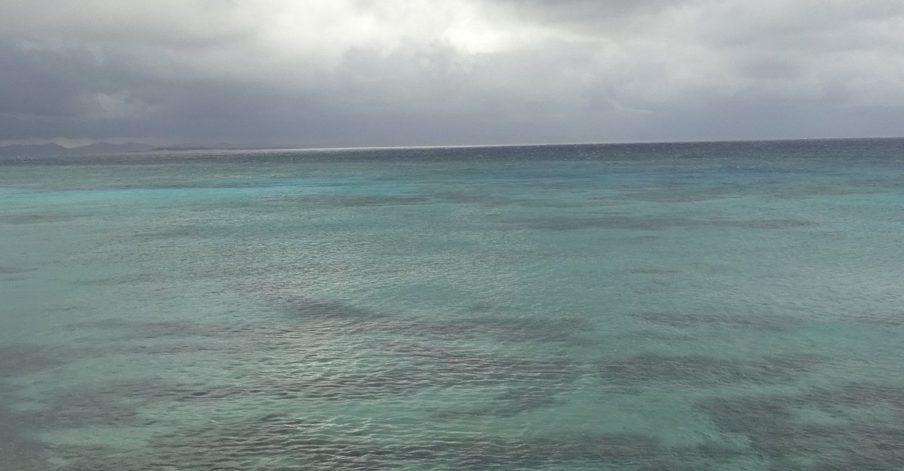 Deep-Rooted Enmity｜exarator