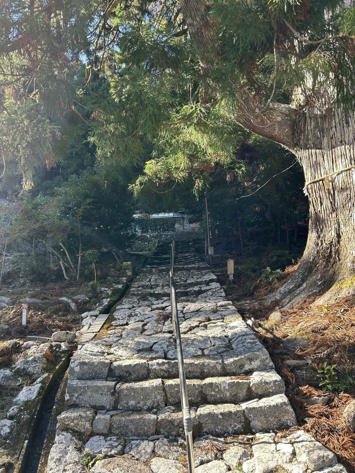 熊野市に行きました(後半)｜a(ア)キ