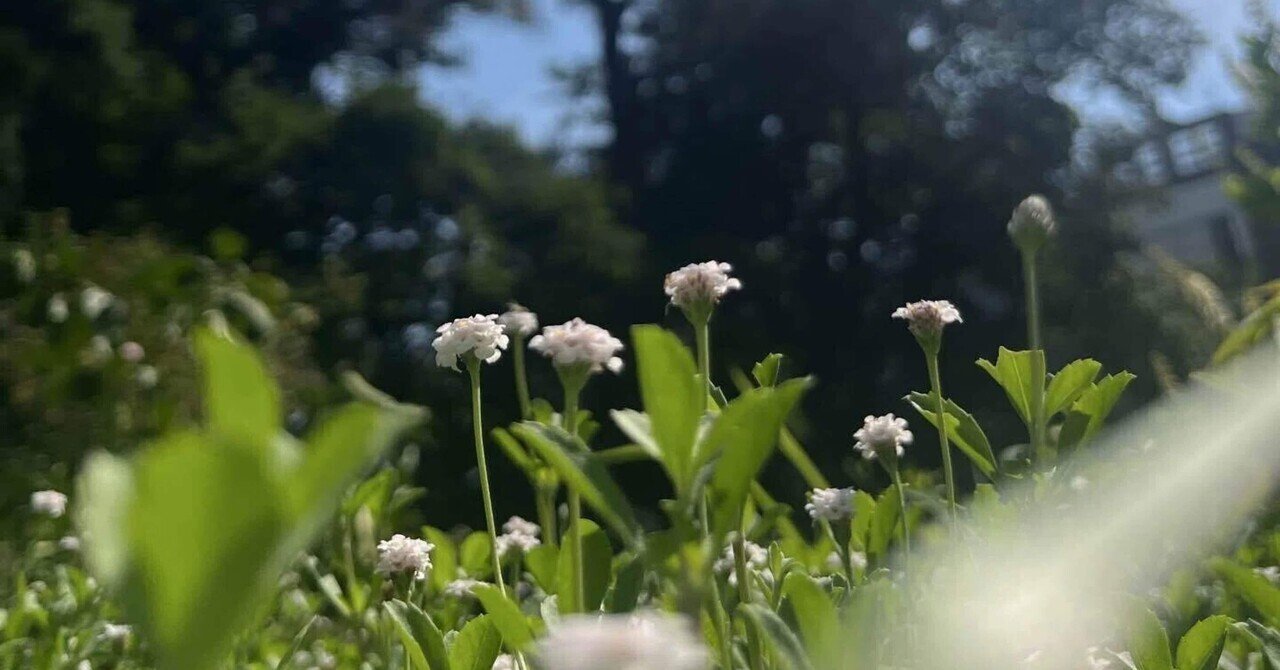 週休3日を希望した事｜yubba