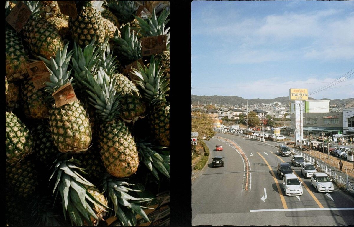 Olympus Pen S vol.2｜YON