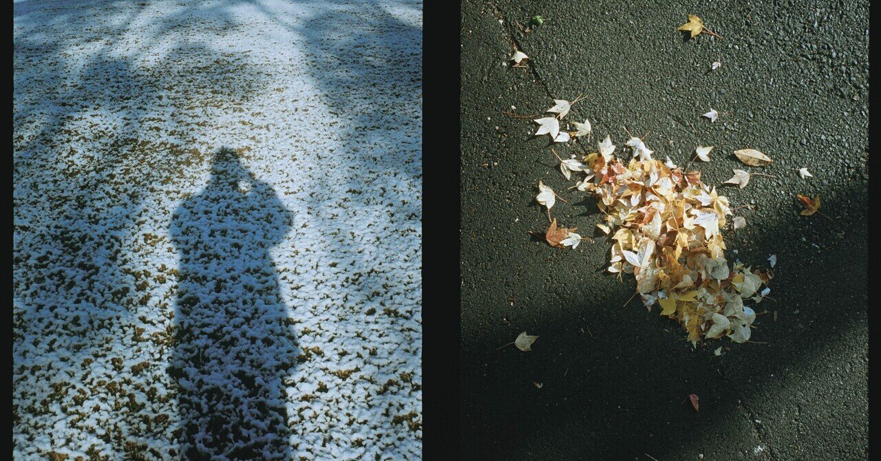 Olympus Pen S vol.2｜YON