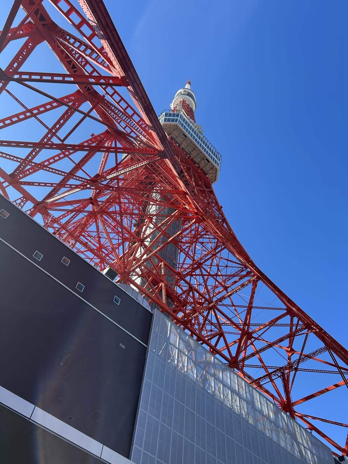 TOKYO DIAMOND TOURに参加しました‼️・前編｜栗田さん