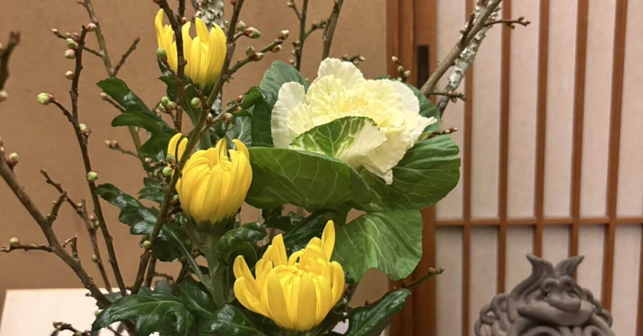 12月28日｜sendan_dougo
