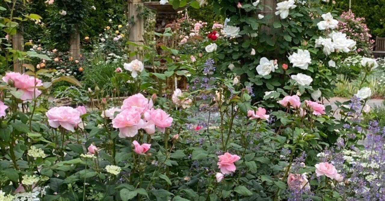 島田高志郎振付プログラム2025｜photon