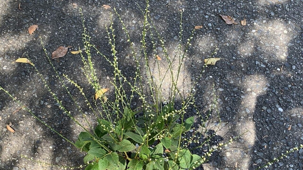 10月の振り返り｜naoki