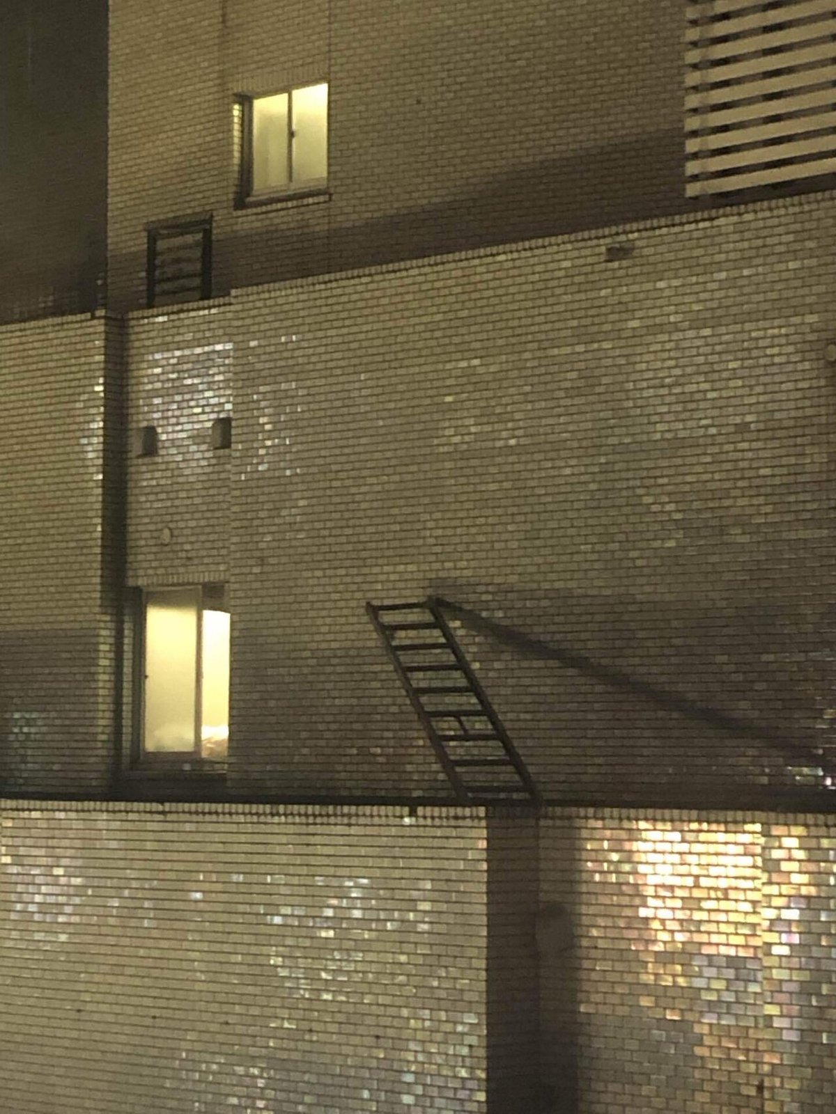 たまにはこうして肩を並べて飲んで｜shun hatano/UZ