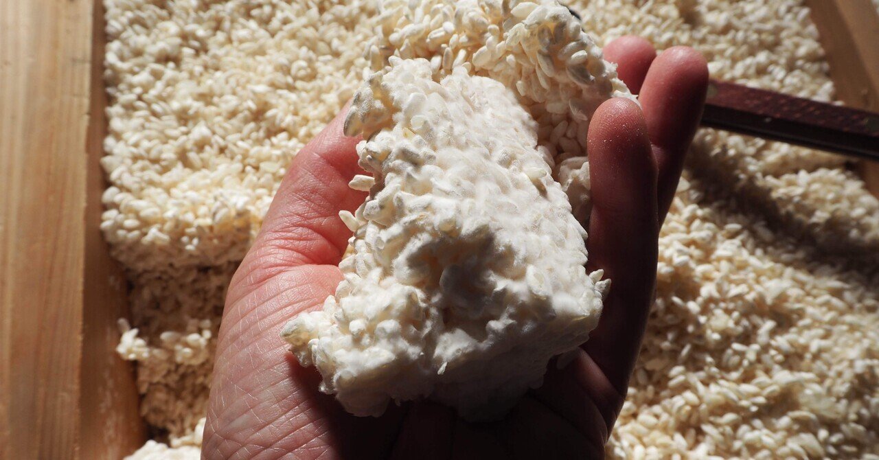 お味噌づくりのための麹づくり｜きっとくらす