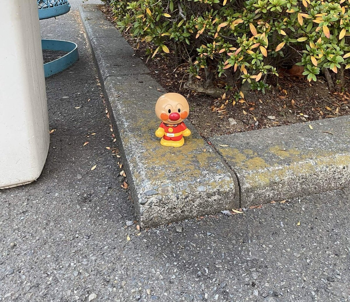 おうま日記（有馬記念・東京大賞典）｜popopo