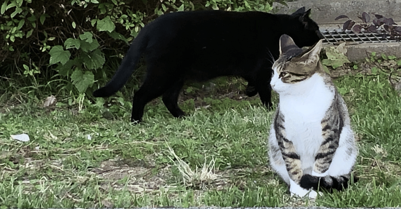 「任せると委ねる」の違いは？～言語化能力と解像度を飛躍的に高めるトレーニング法の紹介｜楠浦崇央／発明塾 塾長 & TechnoProducer CEO