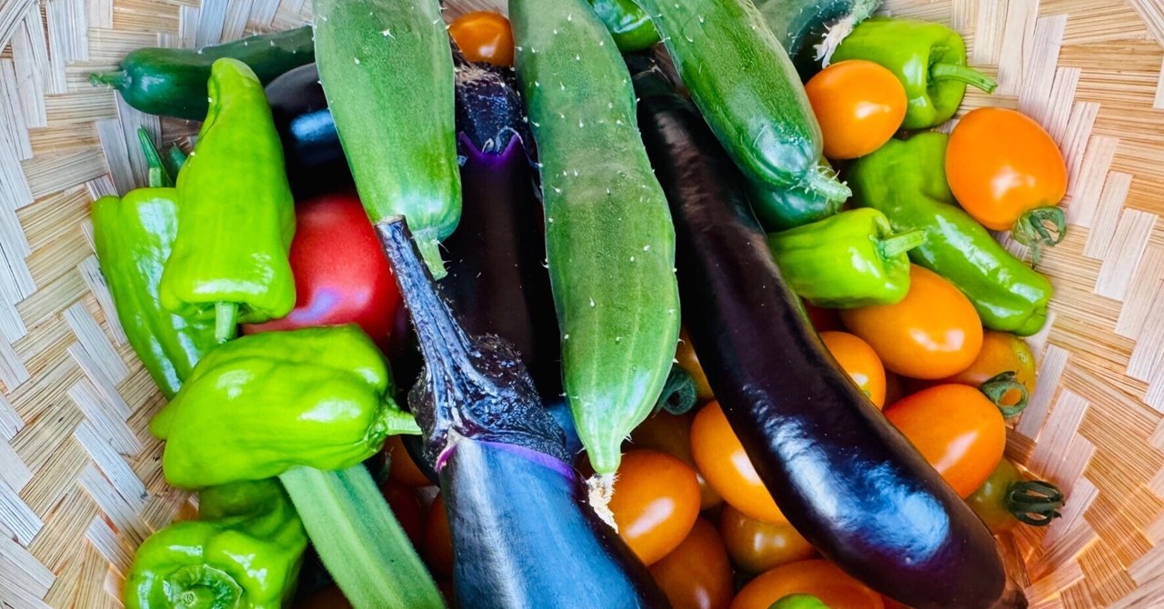 クラインガルデンでの猿との闘い｜temoki / Tomoki Kobayashi